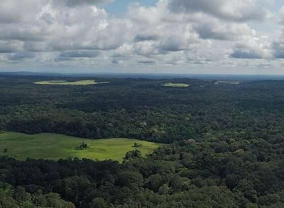 Gabon - Forest - The Grande Mayumba Project